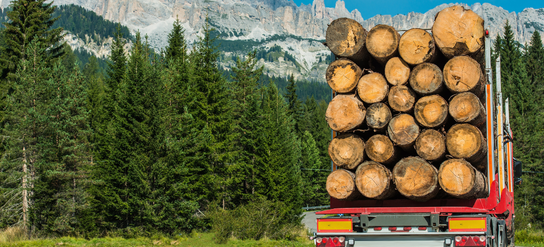 The American Lumber Shortage: How Does this Dilemma Affect the Solid W ...